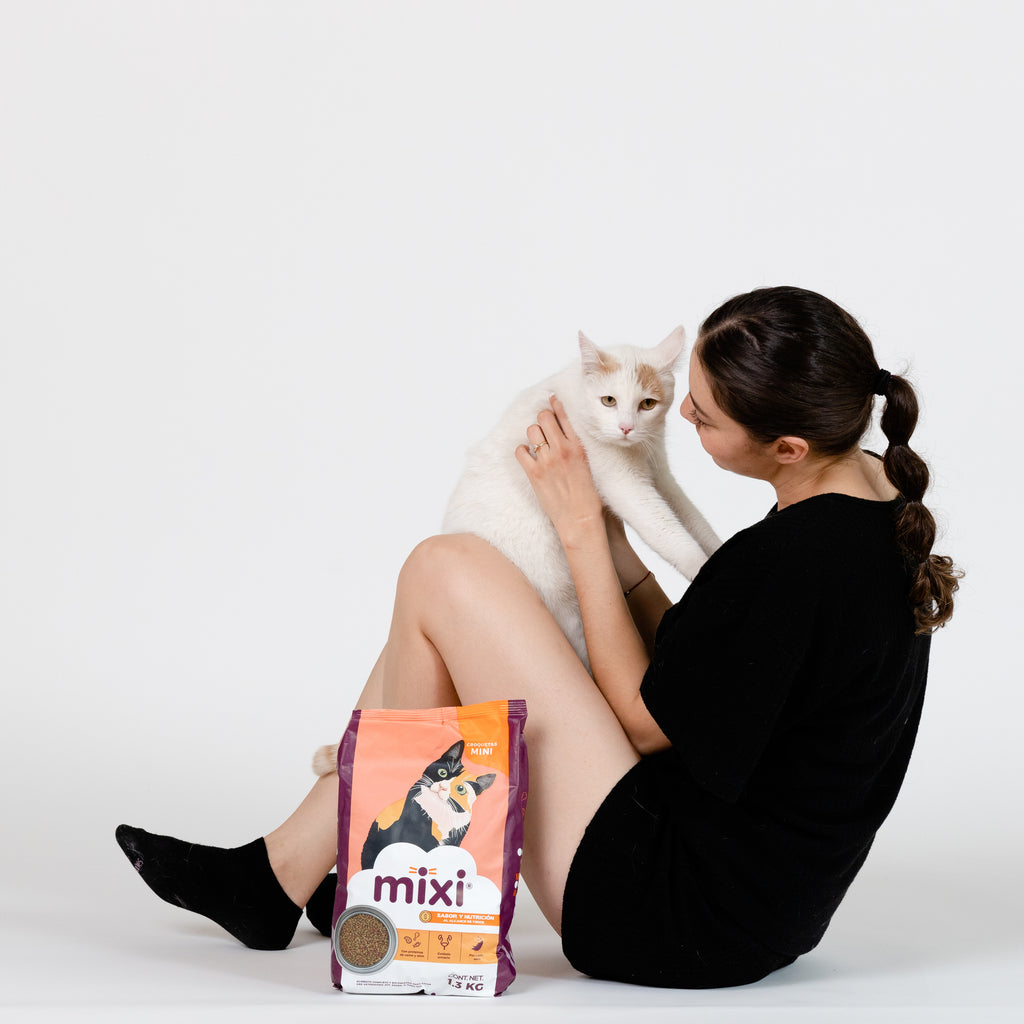 5 Datos Curiosos De Los Gatos – PetProan